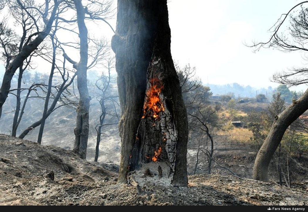 Home Page | Farsnews Agency Home Page | Farsnews Agency